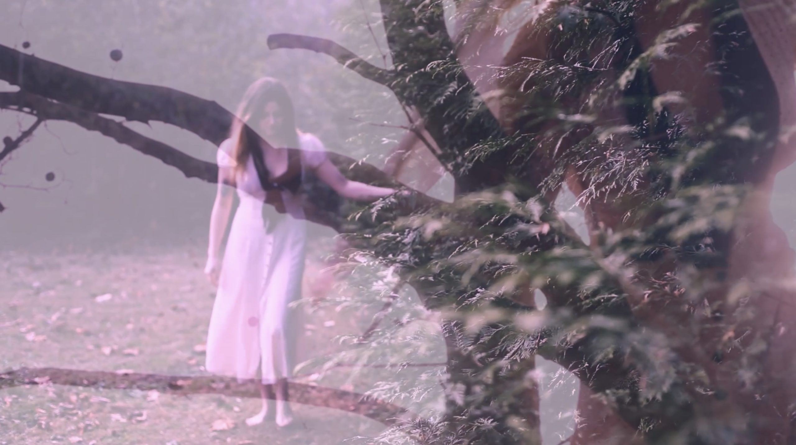 Exclusive Video Premiere : Honeypuppy -‘Nymphet’ | Last Day Deaf