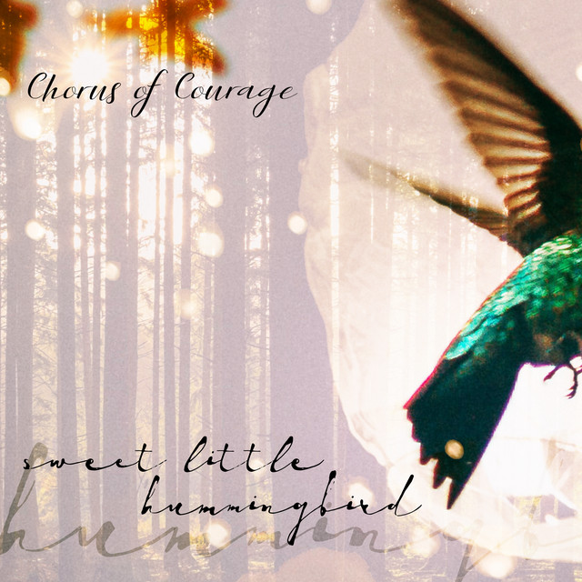 Listening Now : Chorus of Courage – Sweet Little Hummingbird (Feat ...