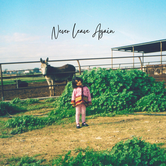 Listening Now : Sara Abraham – Never Leave Again | Last Day Deaf
